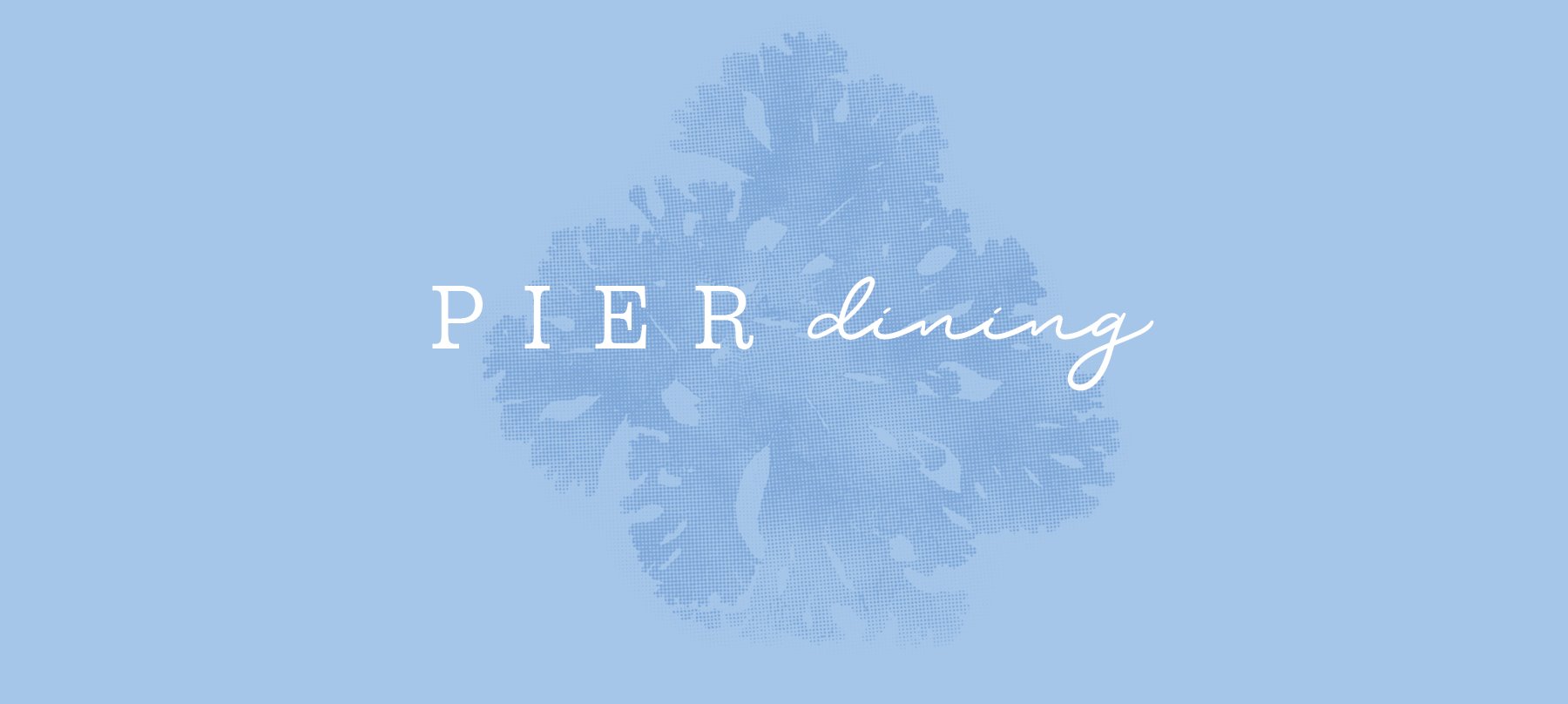 Pier Dining in Sydney | Modern Australian | Sydney Harbour